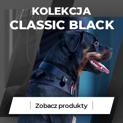 Owczarek niemiecki (wilczur) - opis rasy - WARSAW DOG