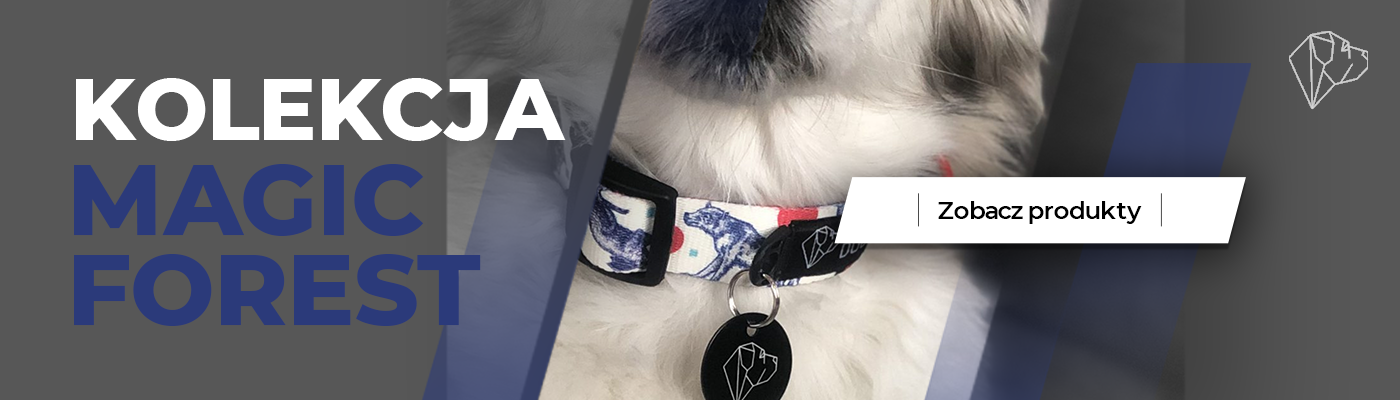 Nużyca u psa - jakie są objawy? Jak ją wyleczyć? - WARSAW DOG