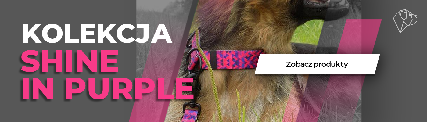 Nużyca u psa - jakie są objawy? Jak ją wyleczyć? - WARSAW DOG