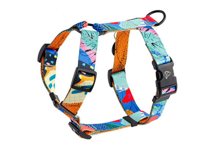 Szelki guardy dla psa | Doggo Artisto | Warsaw Dog