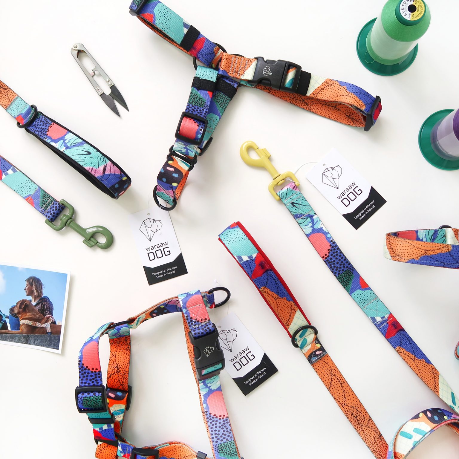 Szelki guardy dla psa | Doggo Artisto | Warsaw Dog