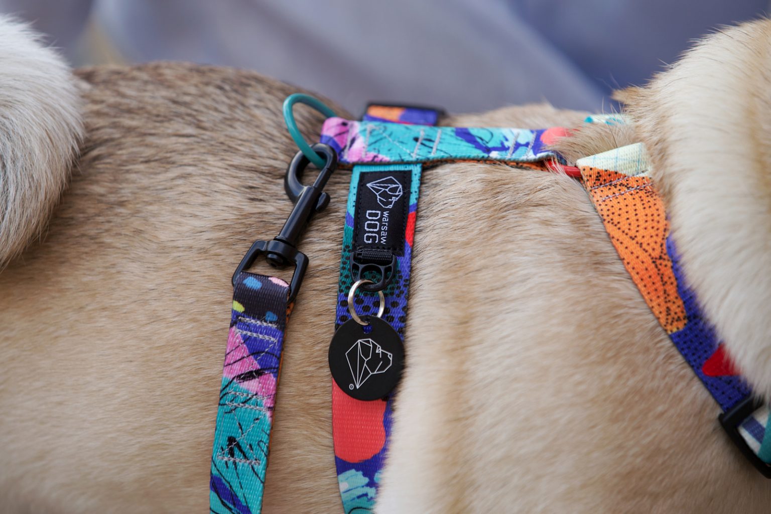 Szelki guardy dla psa | Doggo Artisto | Warsaw Dog