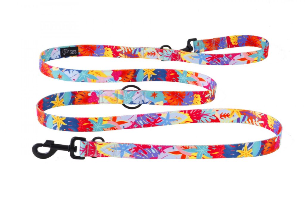 Smycz przepinana | Smoothie | Warsaw Dog