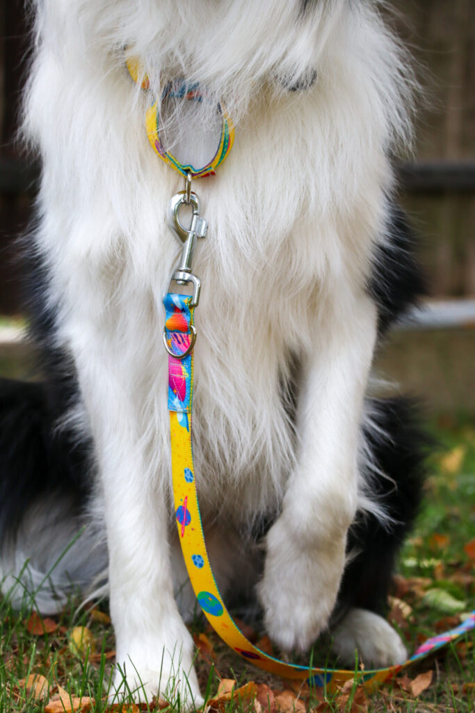 Adjustable leash | Meteor | Warsaw Dog