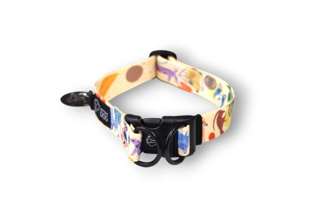 Obroża z klamrą DOUBLE LOCK | Dogandi - WARSAW DOG