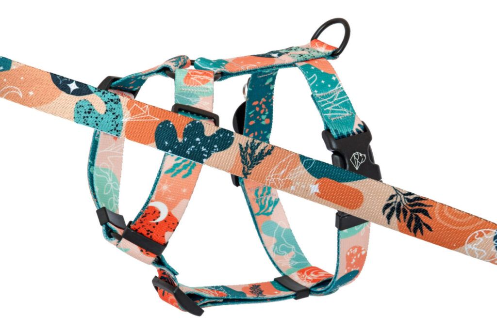 Design accessories for dogs | WARSAW DOG - Collars, leashes, harness