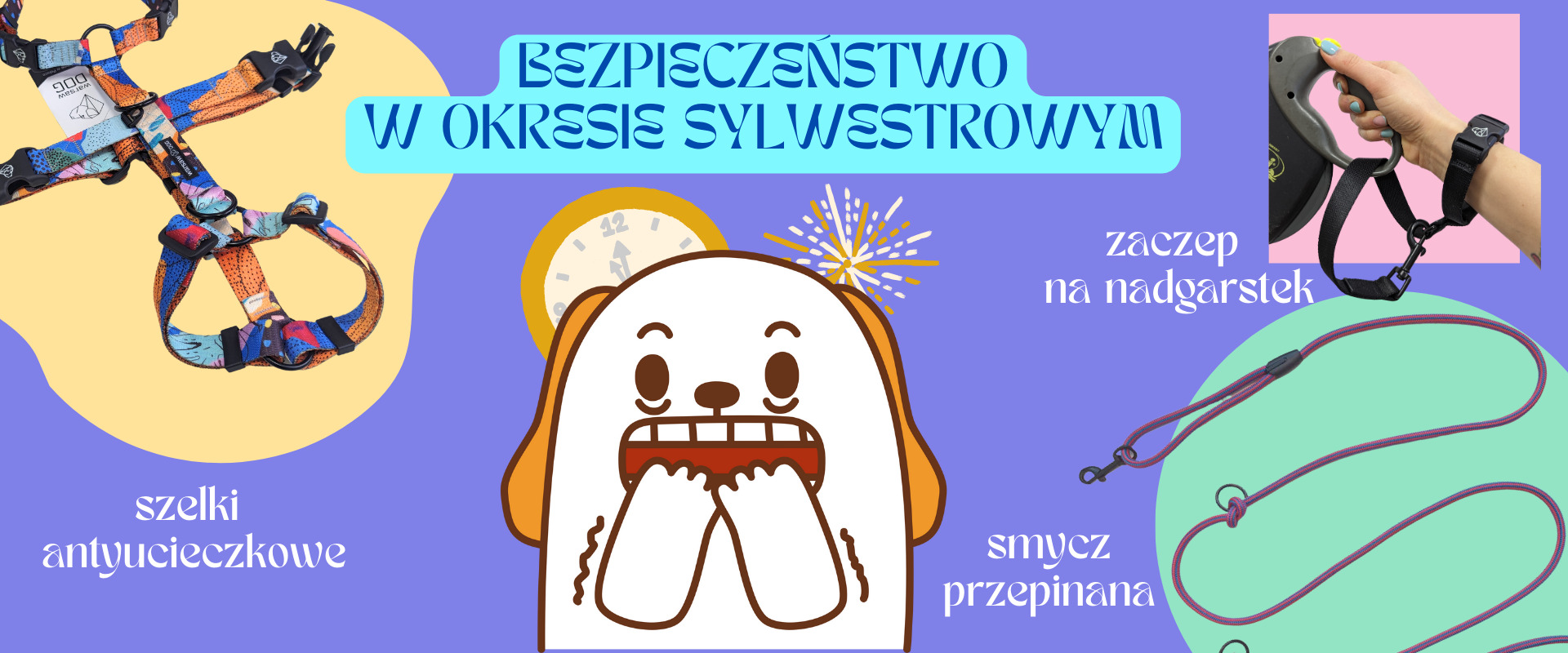 Design accessories for dogs | WARSAW DOG - Collars, leashes, harness